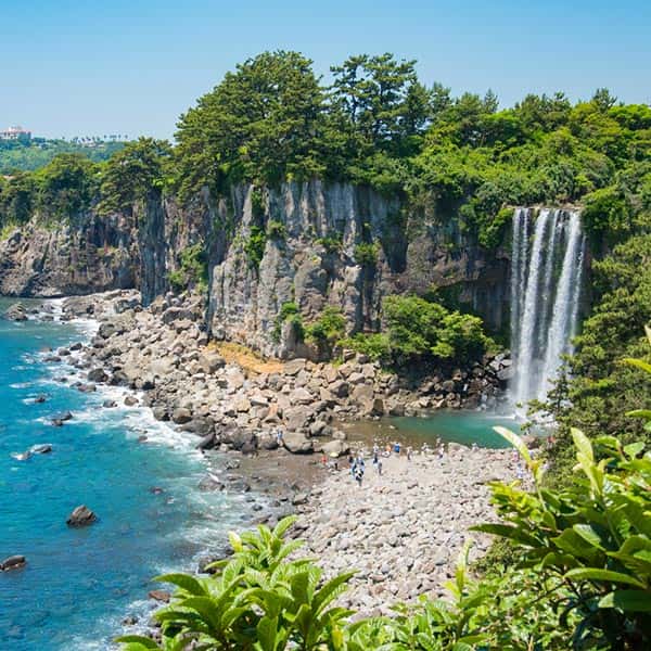 JEJU & SEOUL SPRING/AUTUMN FLAVOURS | Intriq Journey