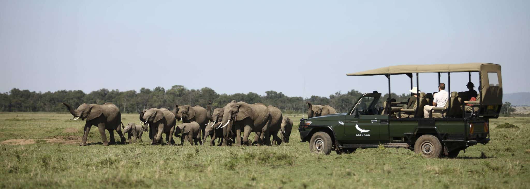 The 11 African Safari Animals you need to see | Intriq Journey