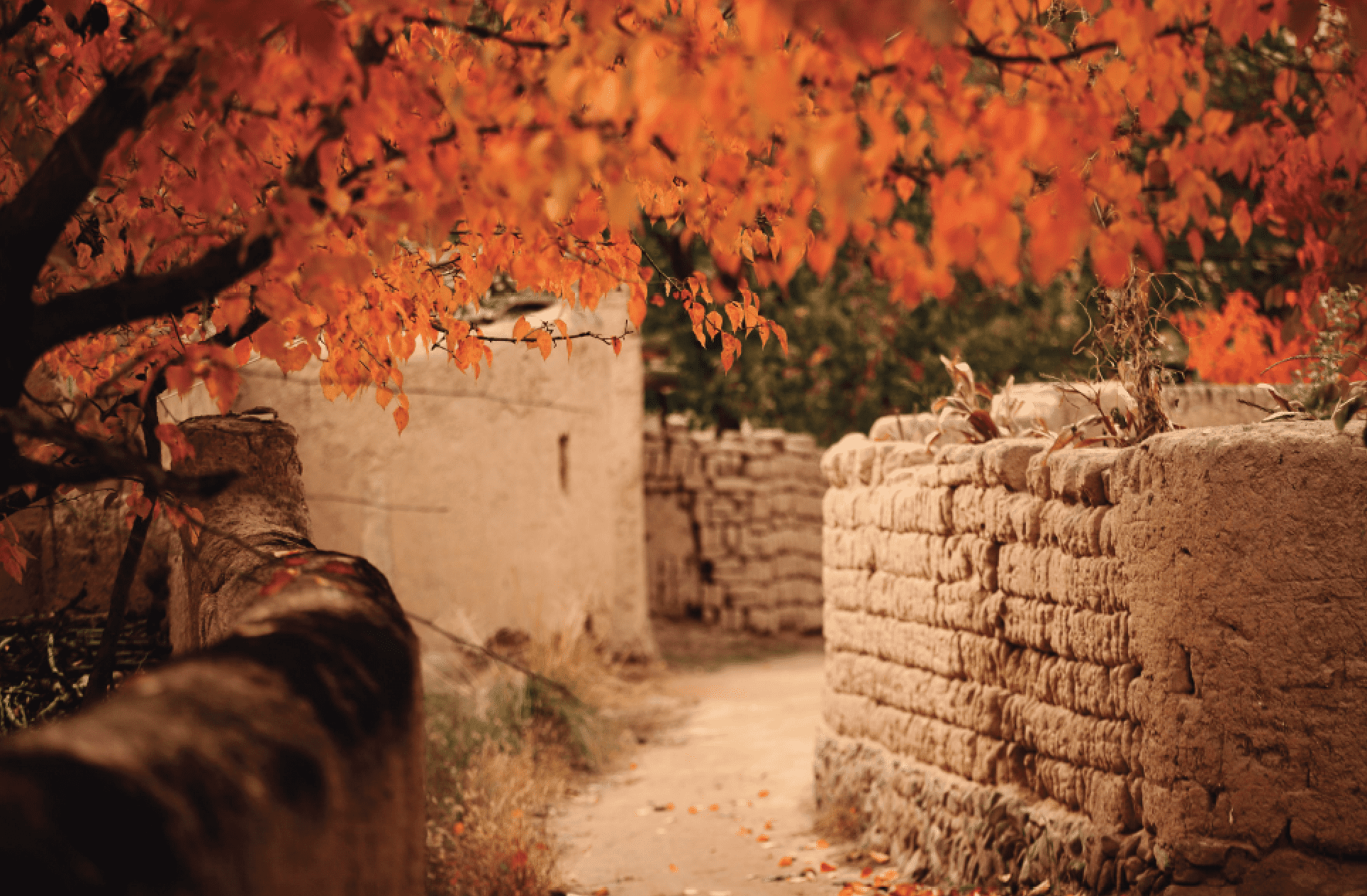 7 Days Treasures of Ningxia itinerary | Intriq Journey