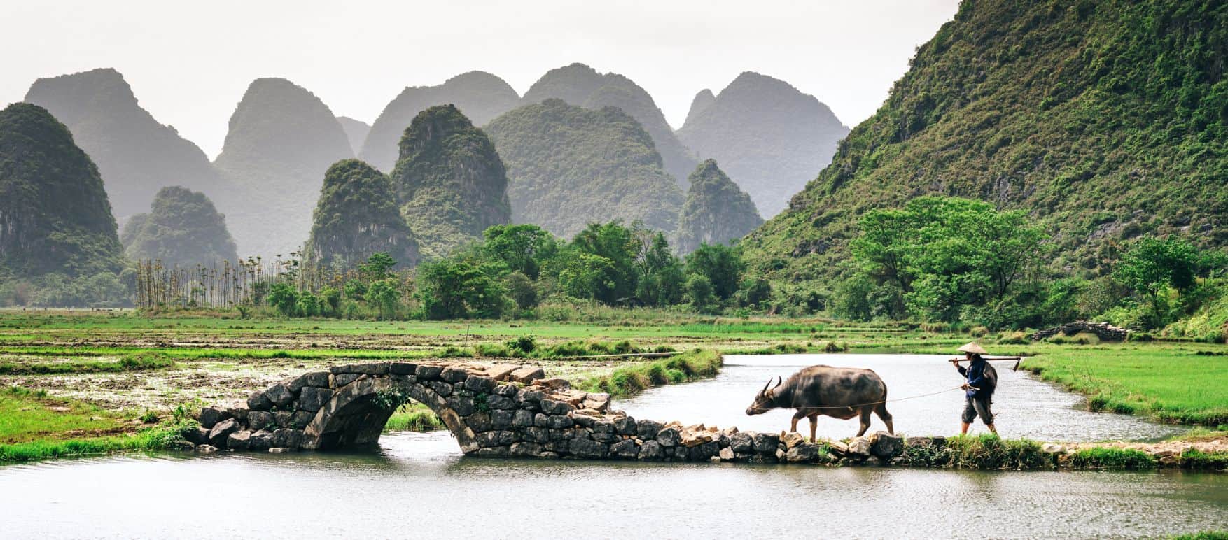 Southern Chinese
