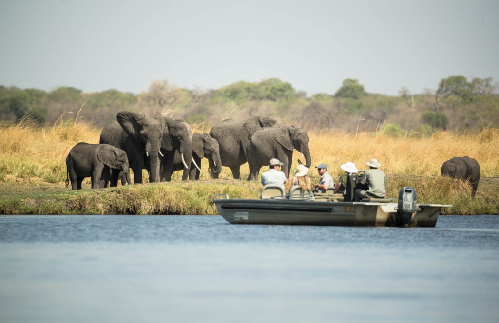 Desert & Delta Stay 8 Pay 7 | Intriq Journey