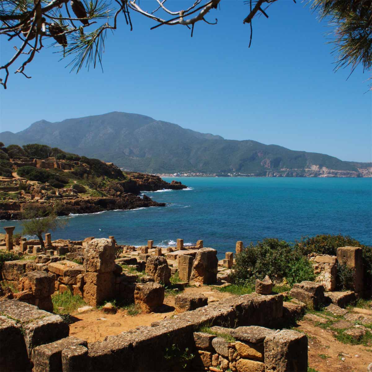 Algeria Island